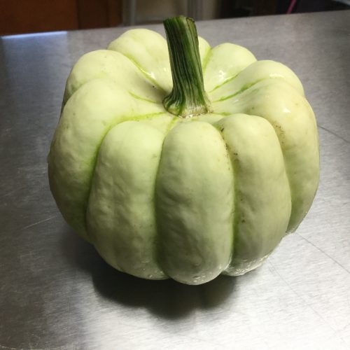 Sweet dumpling – Asia Seeds