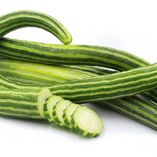 Armenian striped cucumbers – Asia Seeds